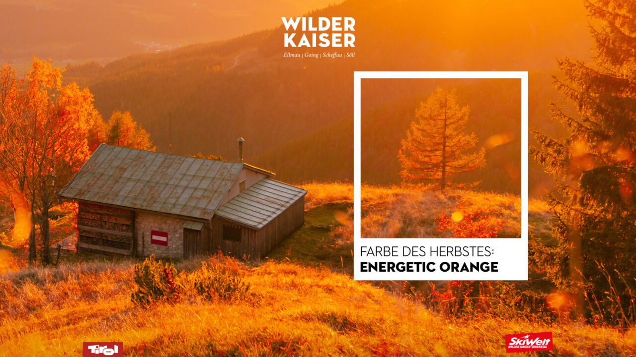 Wilder Kaiser and the colors of autumn - Saint Elmo's